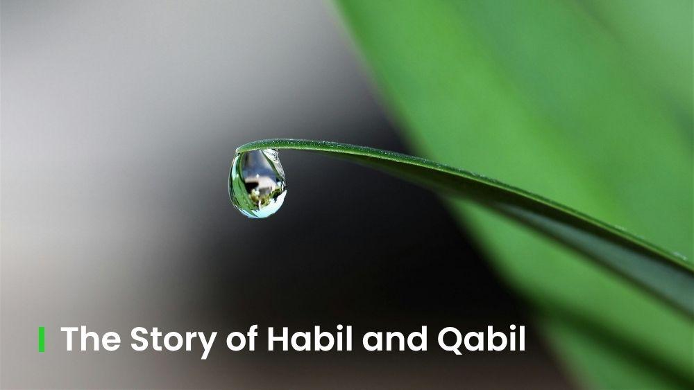 The Story of Habil and Qabil: The History of the First Qurbani in Islam ...